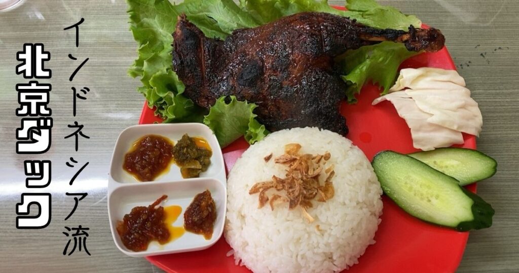 インドネシア料理Aisah（アイサ）｜豊田市のサービスがヤバイ！メニューや駐車場、営業時間まとめ | コハクの豊田市ぼっちグルメ